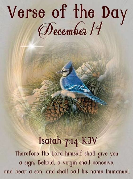Verse Of The Day, December 14 Pictures, Photos, and Images for Facebook ...