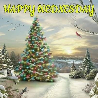 Snowy Christmas Tree - Happy Wednesday Pictures, Photos, and Images for ...