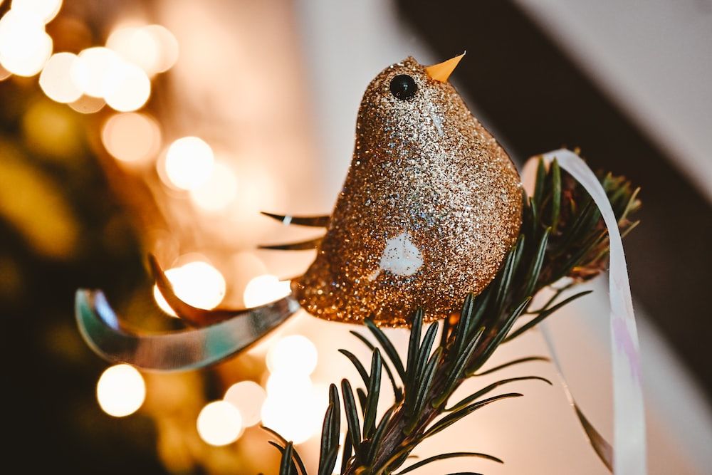 Glitter Bird Ornament Pictures, Photos, and Images for Facebook, Tumblr ...