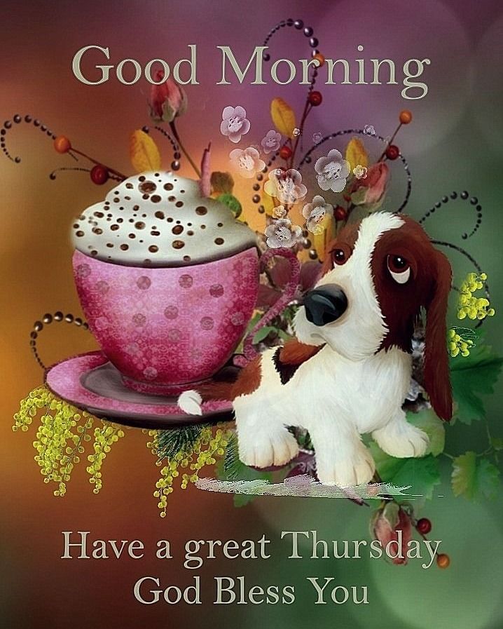 Good Morning, Have A Great Thursday. Pictures, Photos, and Images for ...