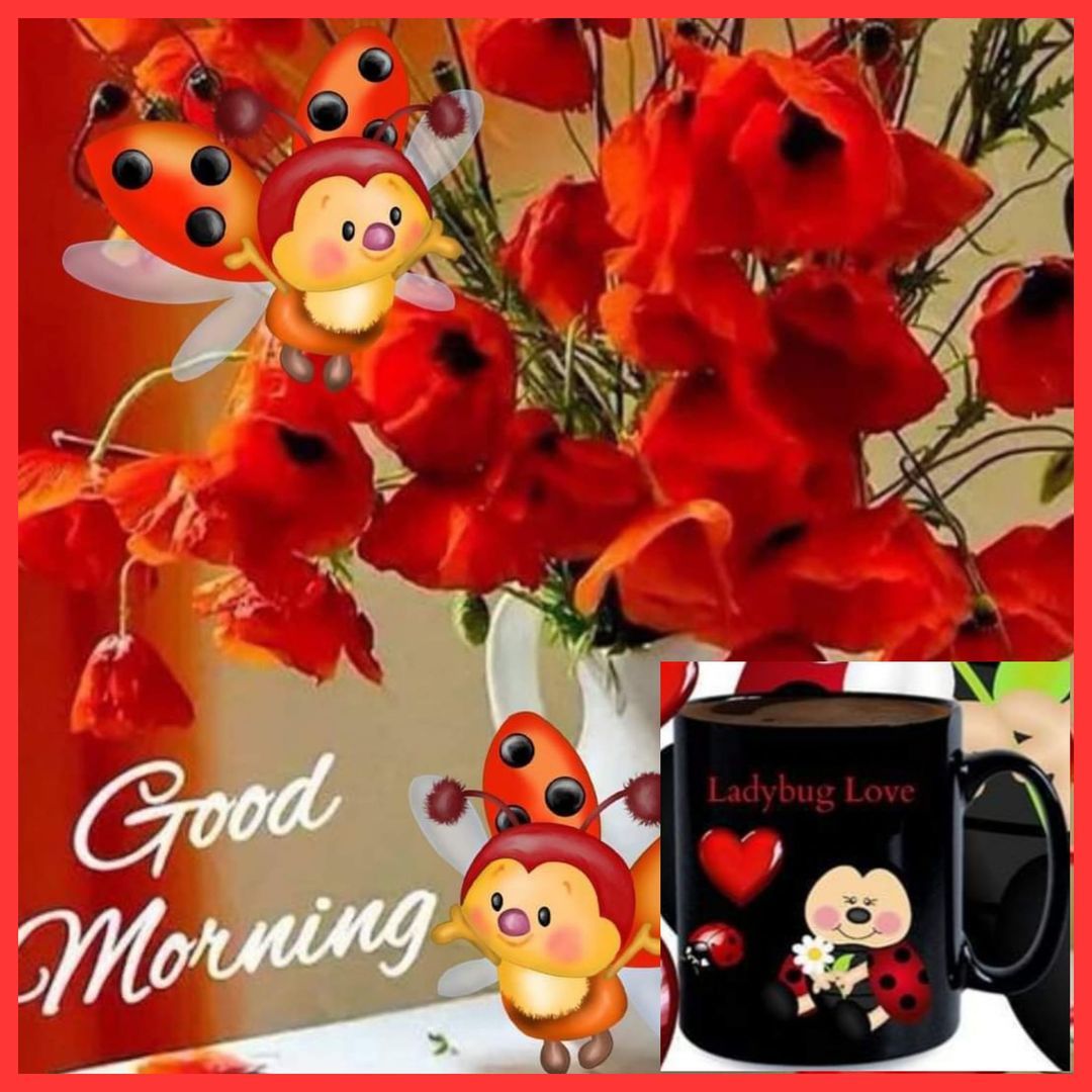 Good Morning Ladybug Greeting Pictures, Photos, and Images for Facebook ...