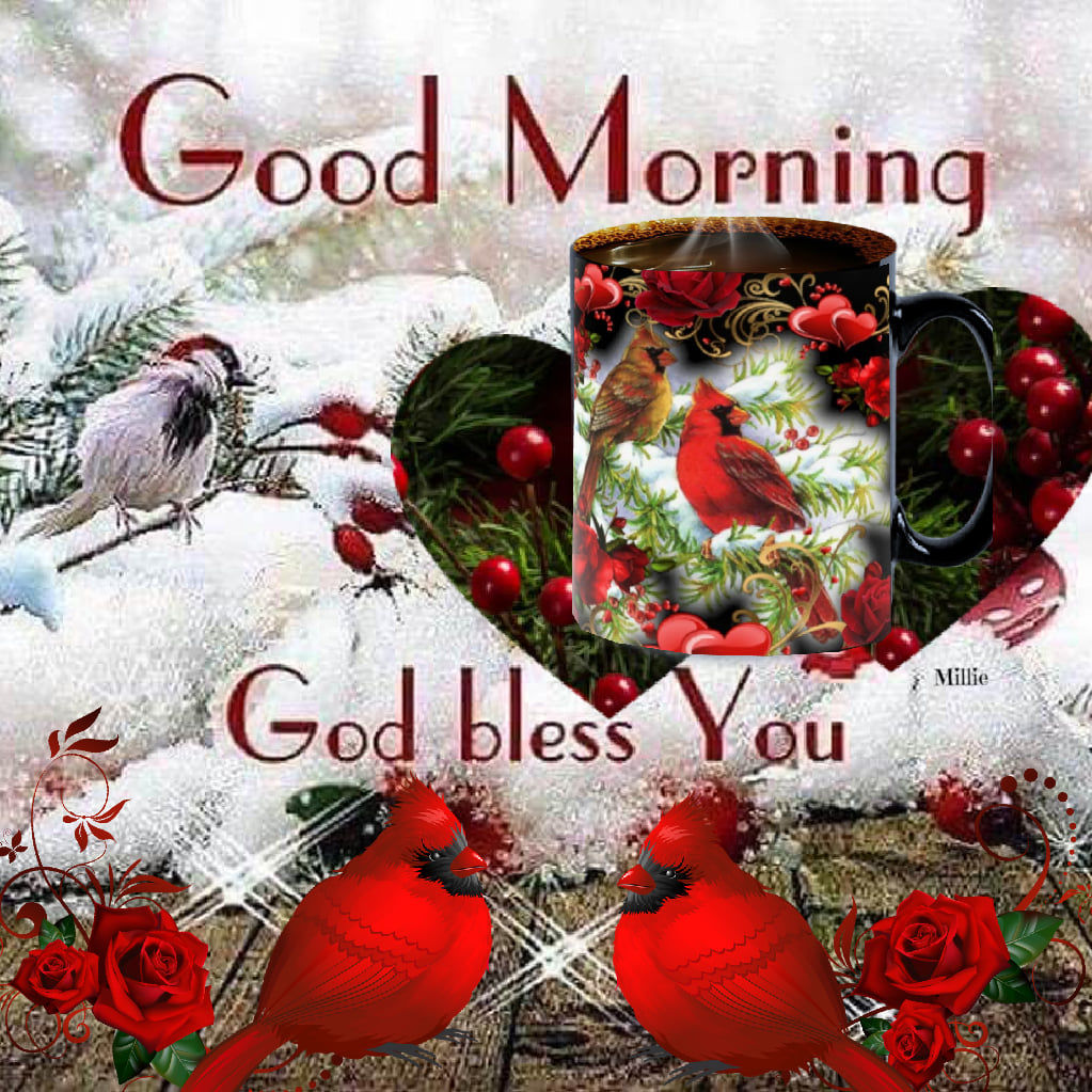 Good Morning, God Bless You Pictures, Photos, and Images for Facebook ...