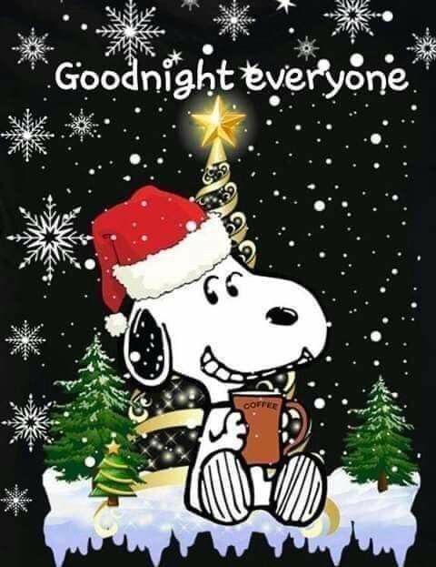 Good Night Everyone Pictures, Photos, and Images for Facebook, Tumblr ...