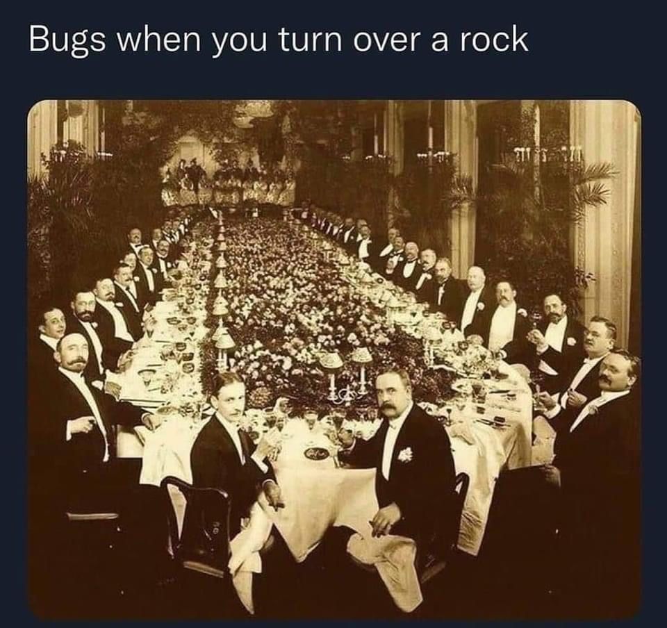 Bugs When You Turn Over A Rock Pictures, Photos, and Images for ...