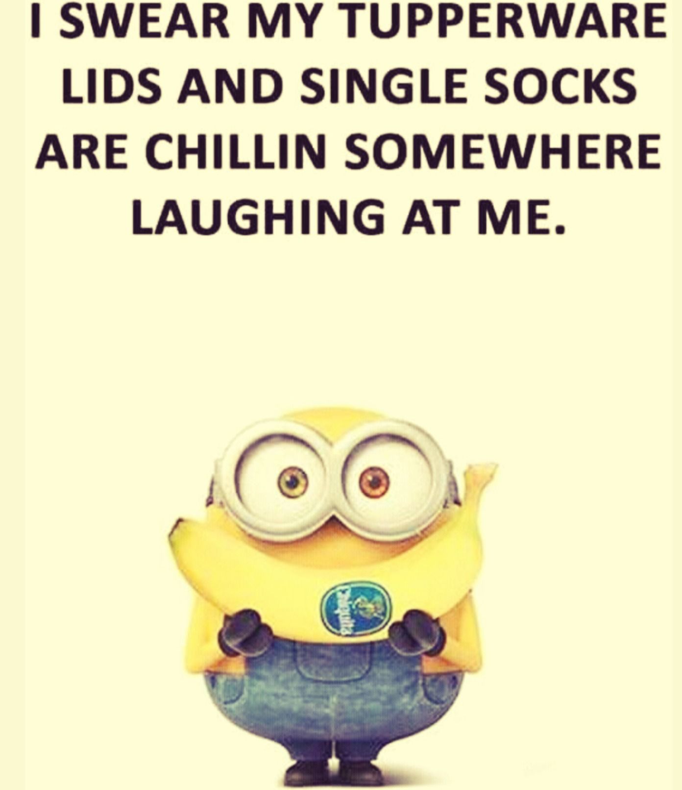 I Swear My Tupperware Lids And Single Socks Are Chillin Somewhere ...