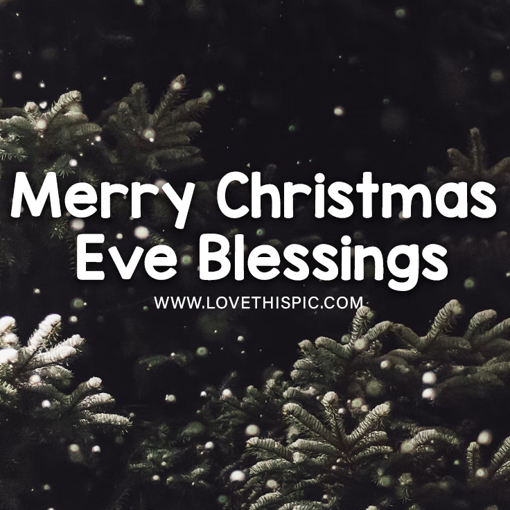 Snow Falling On Branches - Merry Christmas Eve Blessings Pictures ...