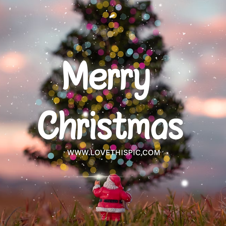 Little Santa By Tree - Merry Christmas Quote Pictures, Photos, and ...