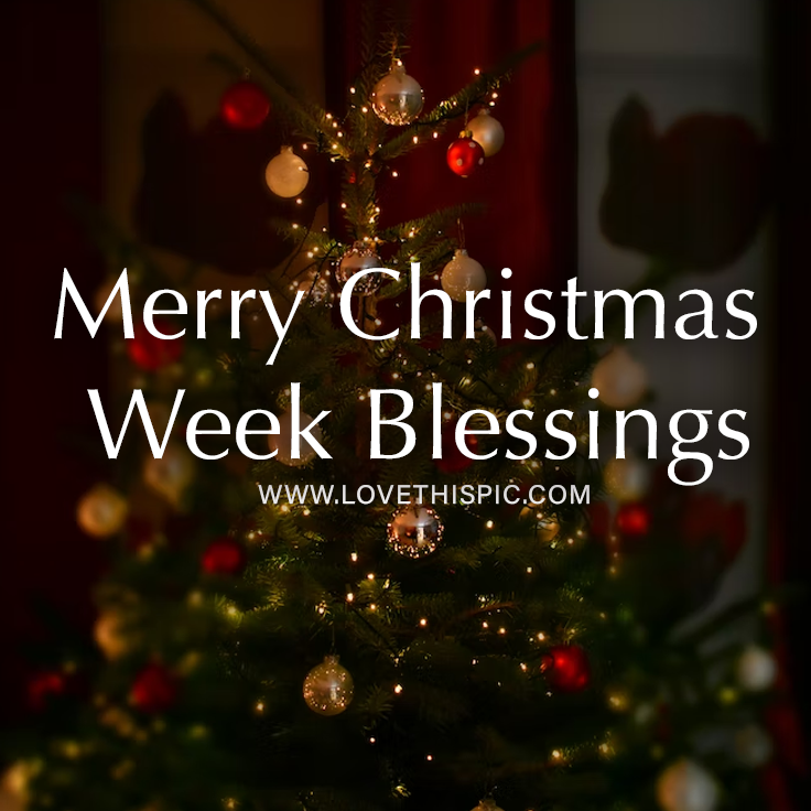 Merry Christmas Week Blessings Pictures, Photos, and Images for ...