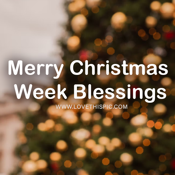 Bokeh Merry Christmas Week Blessings Pictures, Photos, and Images for ...