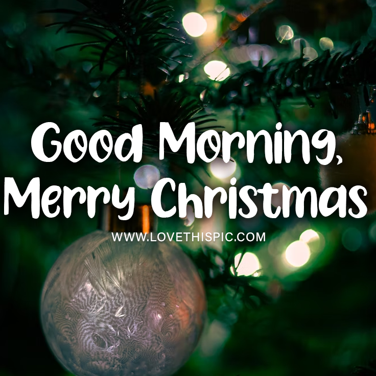 Good Morning, Merry Christmas With Ornaments Pictures, Photos, and ...