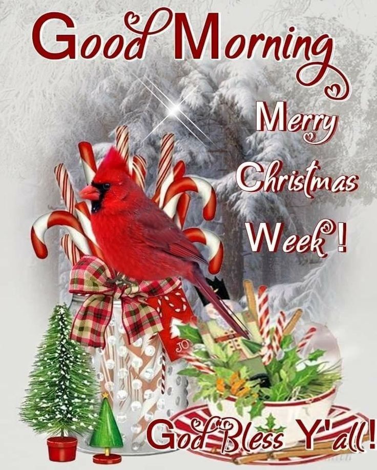 Good Morning, Merry Christmas Week Pictures, Photos, and Images for ...