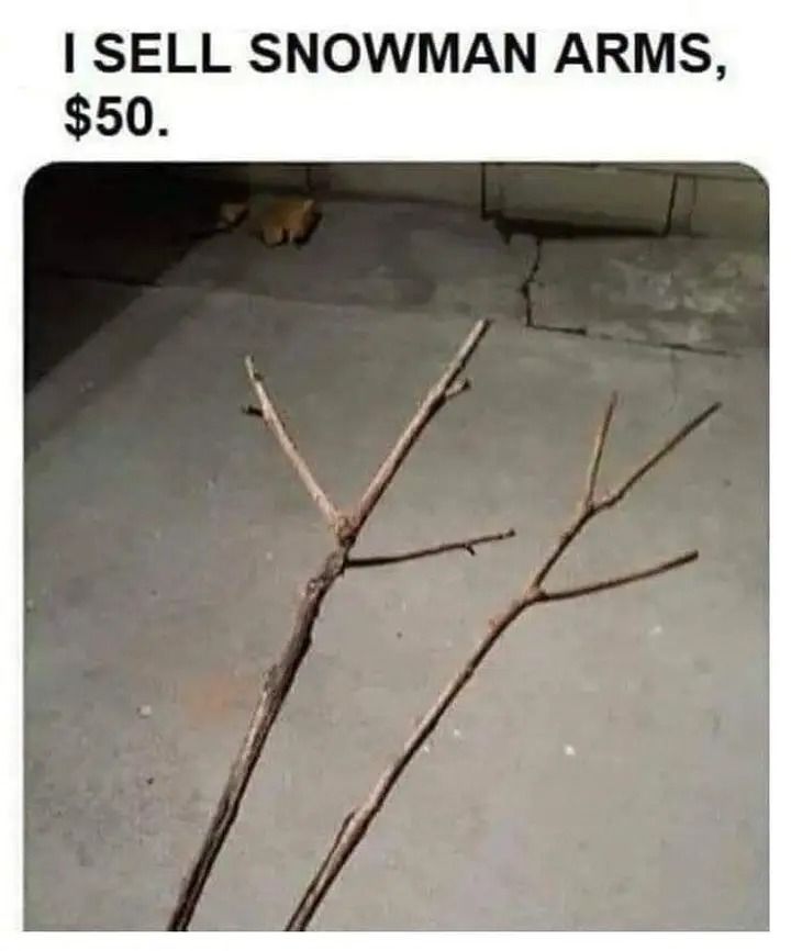 I Sell Snowman Arms! $50 Pictures, Photos, and Images for Facebook ...