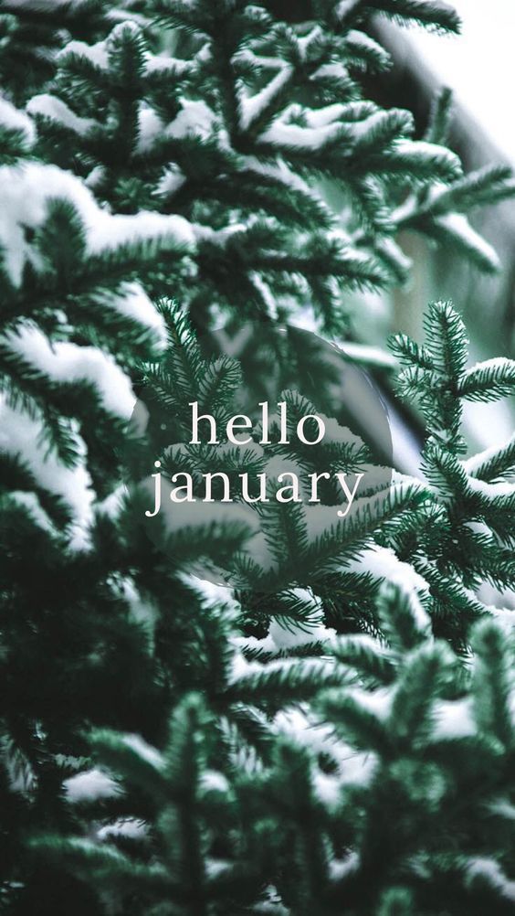 Green Pine Tree - Hello January Pictures, Photos, and Images for ...