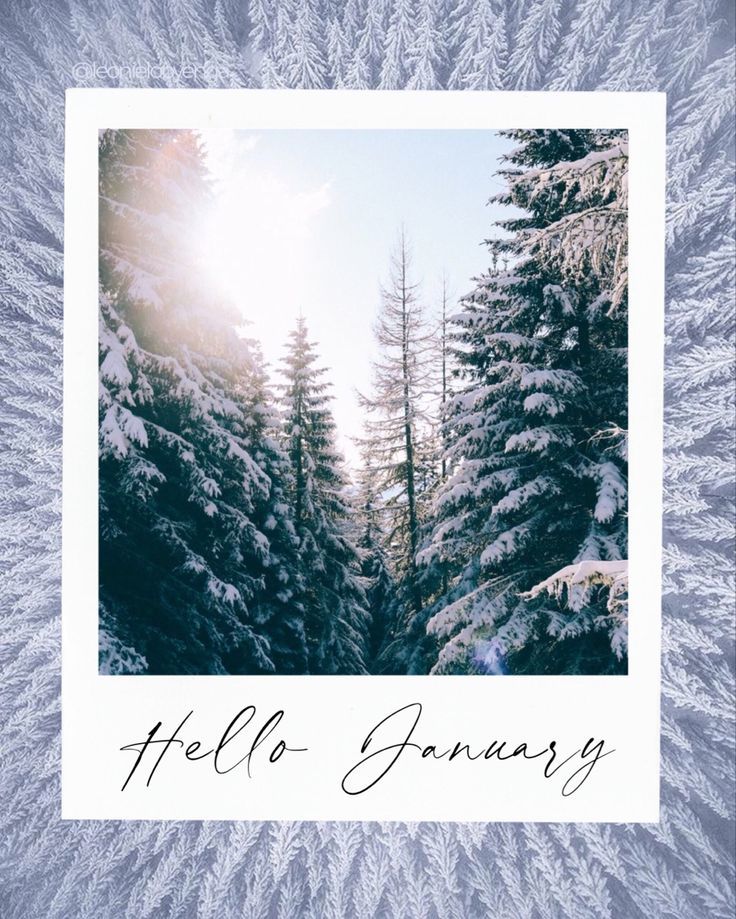 Winter Polaroid Hello January Quote Pictures, Photos, and Images for ...