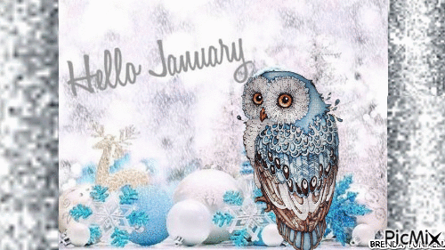 Hello January Owl Gif Pictures, Photos, and Images for Facebook, Tumblr ...