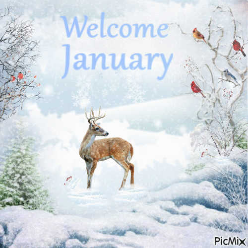 Deer In Winter Welcome January Gif Pictures, Photos, and Images for ...