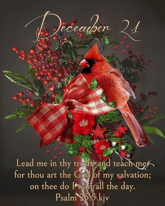 Cardinal December 21 Quote Pictures, Photos, and Images for Facebook ...