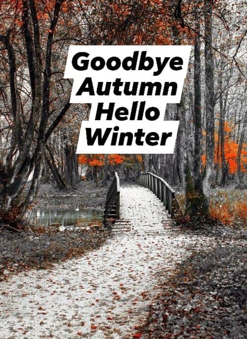 Goodbye Autumn, Hello Winter Pictures, Photos, and Images for Facebook ...