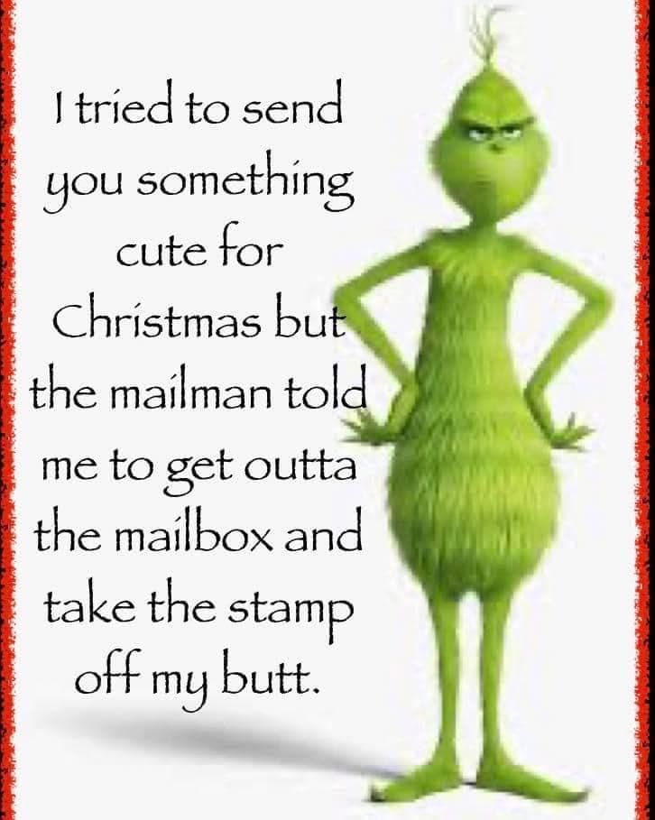I Tried To Send You Something Cute For Christmas But The Mailman Told ...