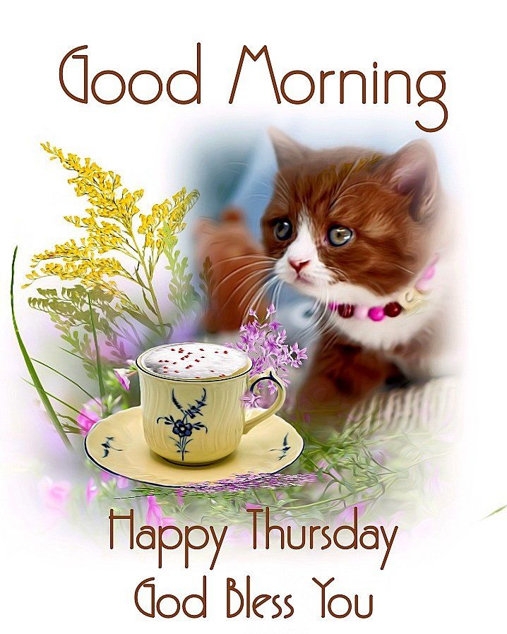 Good Morning, Happy Thursday Pictures, Photos, and Images for Facebook ...