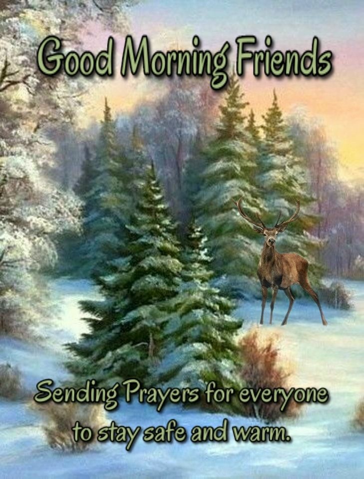 Good Morning Friends, Sending Prayers For Everyone To Stay Safe And ...
