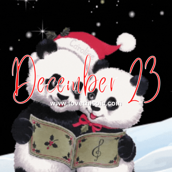 Caroling Pandas - December 23 Pictures, Photos, and Images for Facebook ...