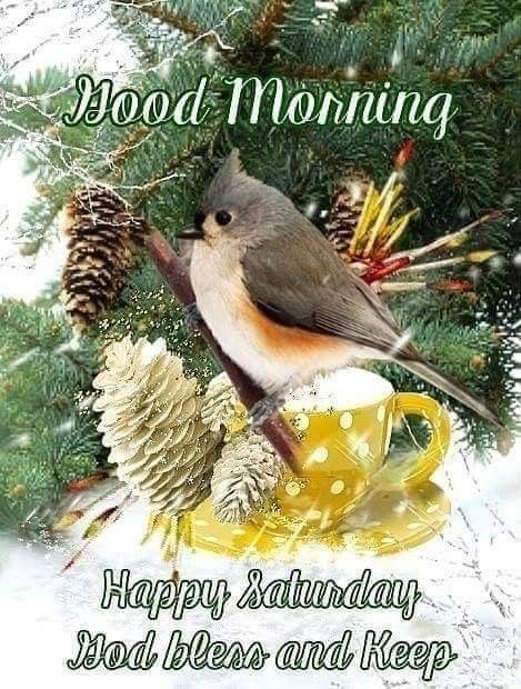 God Bless And Keep: Good Morning, Happy Saturday Pictures, Photos, and ...