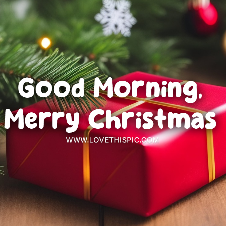 Xmas Gift - Good Morning, Merry Christmas Pictures, Photos, and Images ...