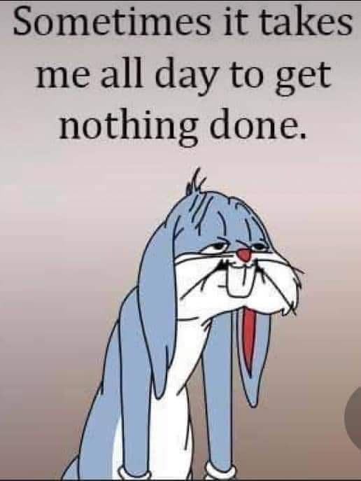 Sometimes It Takes Me All Day To Get Nothing Done Pictures, Photos, and ...