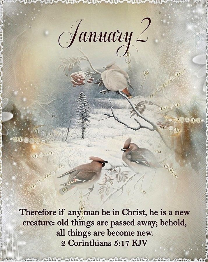 January 2 Pictures, Photos, and Images for Facebook, Tumblr, Pinterest ...