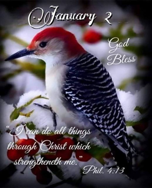 January 2 Pictures, Photos, and Images for Facebook, Tumblr, Pinterest ...