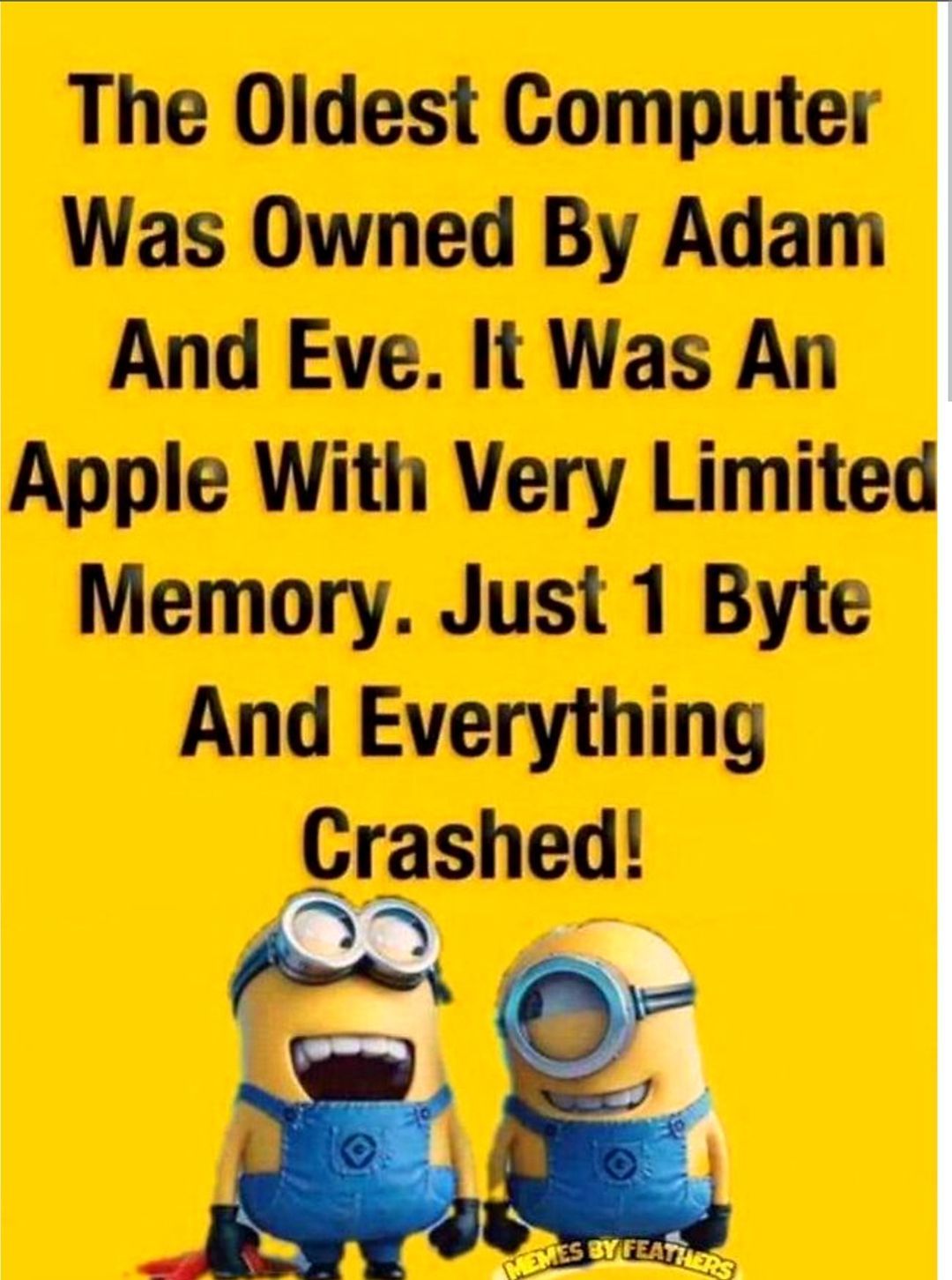 The Oldest Computer Was Owned By Adam And Eve. It Was An Apple With ...