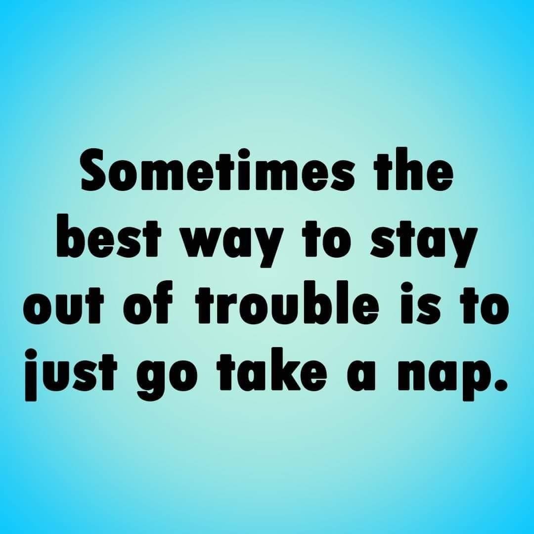 Sometimes The Best Way To Stay Out Of Trouble Is To Just Go Take A Nap ...