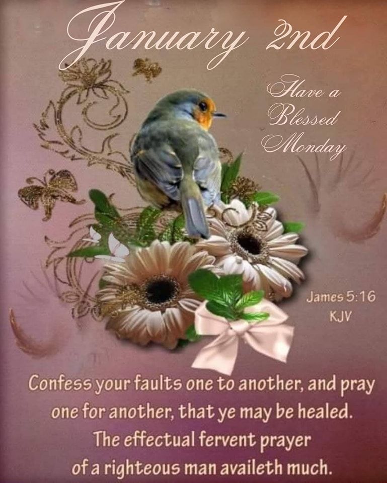 January 2nd Pictures, Photos, and Images for Facebook, Tumblr ...