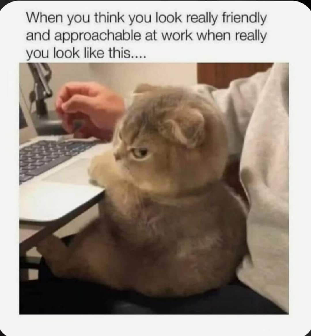When You Think You Look Really Friendly And Approachable At Work When ...
