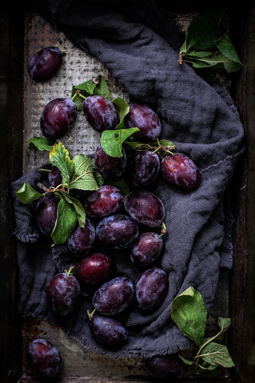 Plums Pictures, Photos, and Images for Facebook, Tumblr, Pinterest, and ...