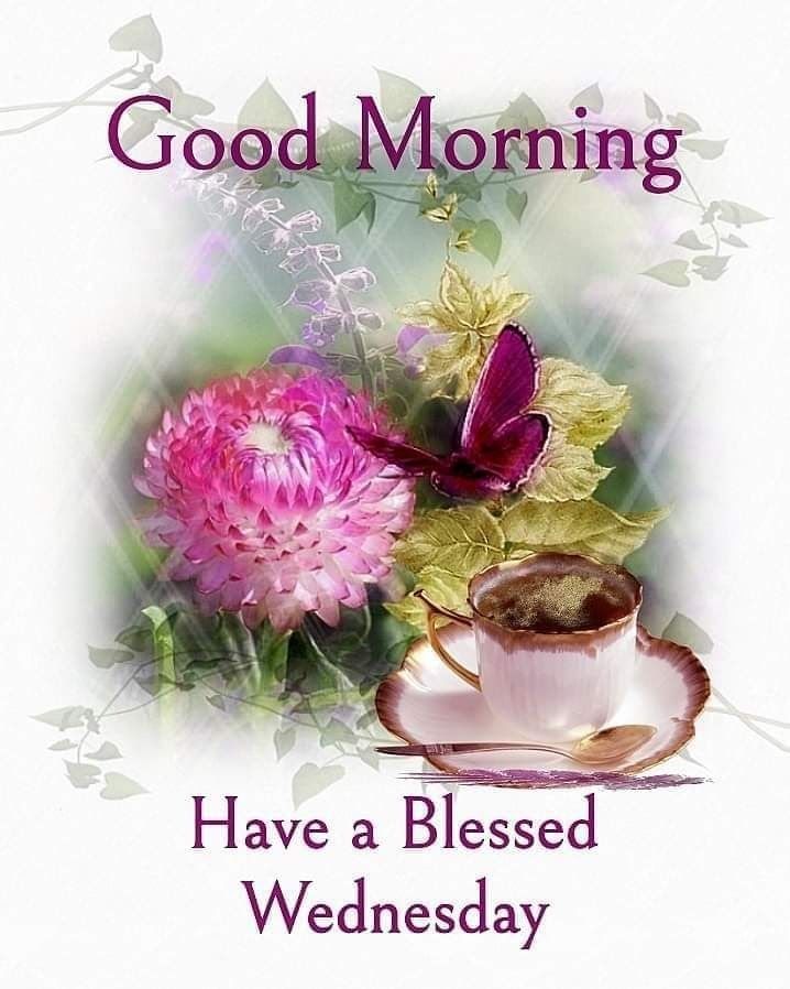 Good Morning, Have A Blessed Wednesday. Pictures, Photos, and Images ...
