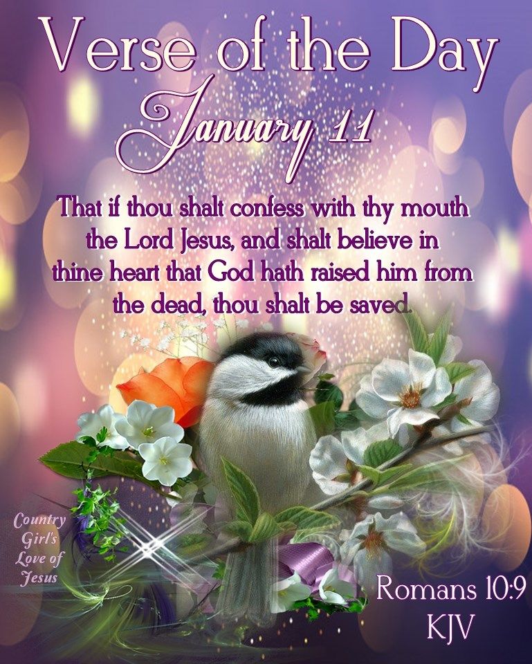 Verse Of The Day, January 11 Pictures, Photos, and Images for Facebook ...