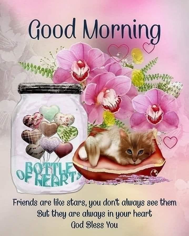 Good Morning For Friends Pictures, Photos, and Images for Facebook ...