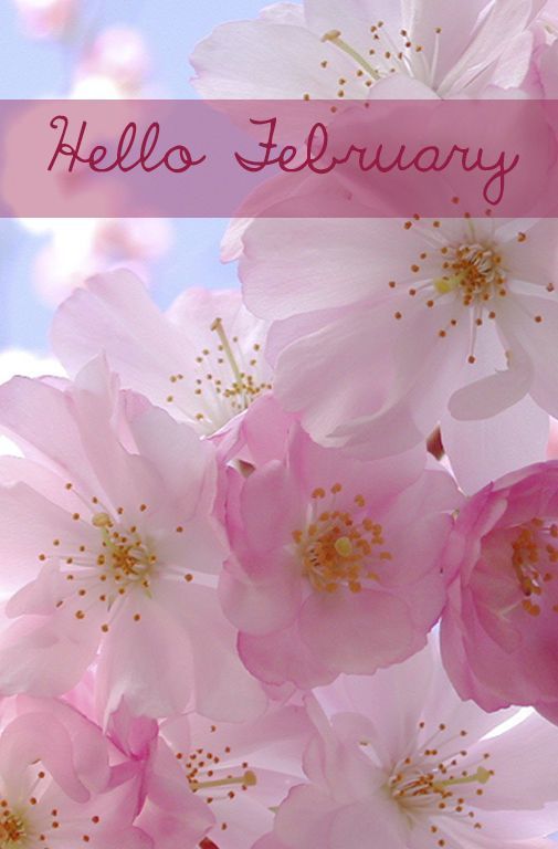Pink And Light Pink Flowers - Hello February Pictures, Photos, and ...