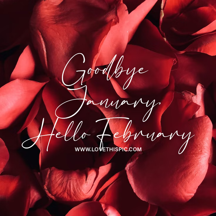 Silky Red Petals - Goodbye January And Hello February Pictures, Photos ...