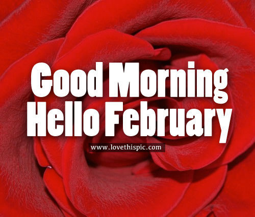 Closeup Of Roses - Good Morning Hello February Pictures, Photos, and ...