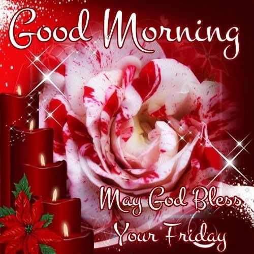 Good Morning, Friends, Happy Friday! I Pray That You Have A Safe, Happy ...