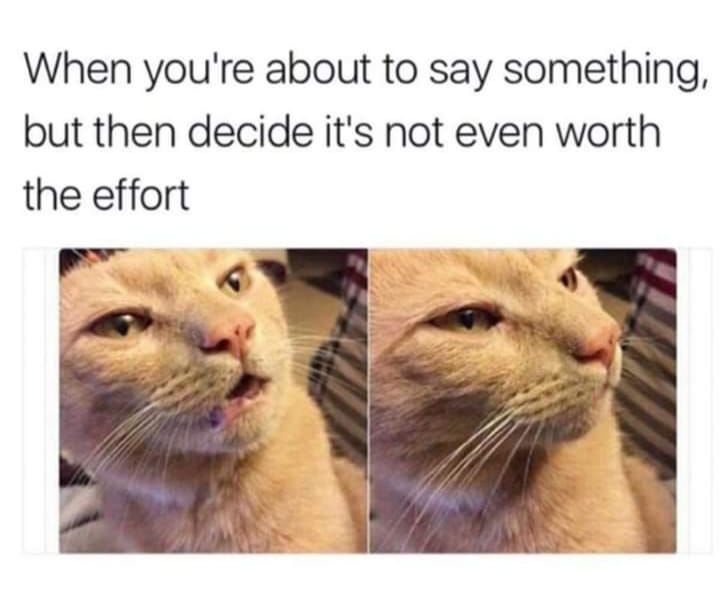 When You're About To Say Something But Then Decide It's Not Even Worth ...