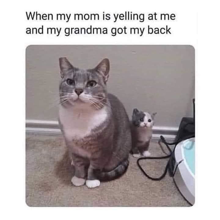 When My Mom Is Yelling At Me And My Grandma Got My Back Pictures ...