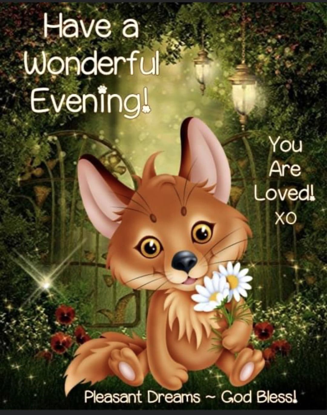 Happy Fox - Have A Wonderful Evening! Pictures, Photos, and Images for ...