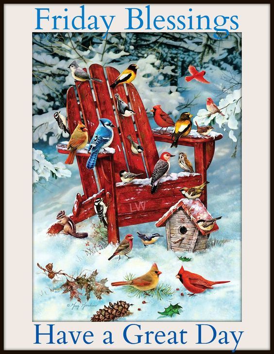 Birds In Winter - Friday Blessings Pictures, Photos, and Images for ...