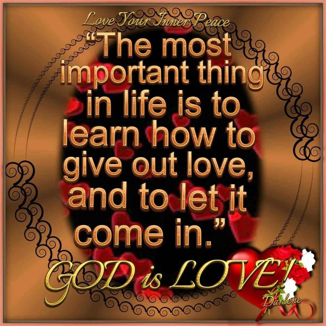 The Most Important Thing In Life Is To Learn How To Give Out Love, And ...