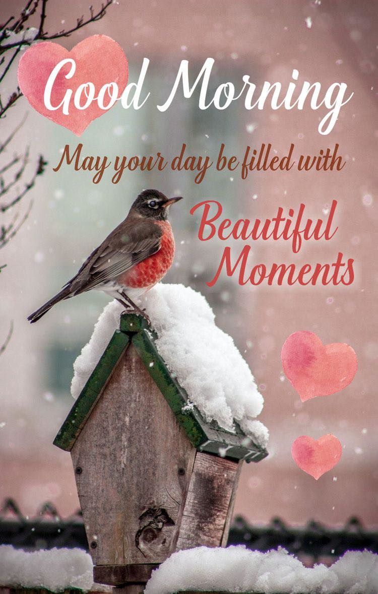 Good Morning: May Your Day Be Filled With Beautiful Moments Pictures ...