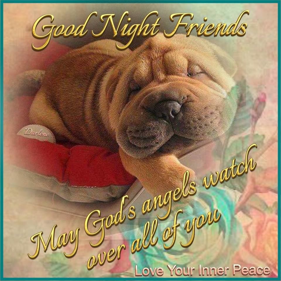 Good Night Friends. May God's Angels Watch Over All Of You. Pictures ...